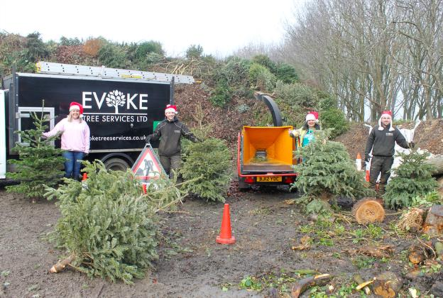 Festive recycling scheme a tree-mendous success - Isabel Hospice