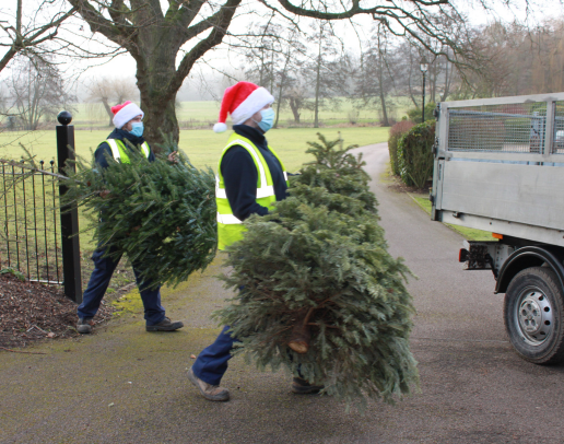 Christmas Tree Collection - Isabel Hospice - Isabel Hospice